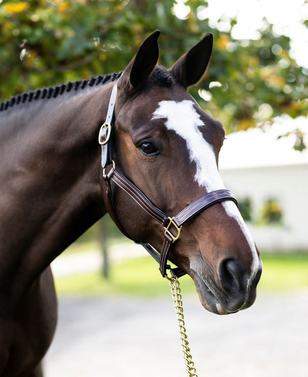 KL Select Red Barn Julie Halter - The Carousel Horse