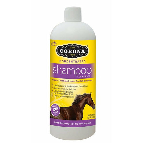 Corona Shampoo *** - The Carousel Horse
