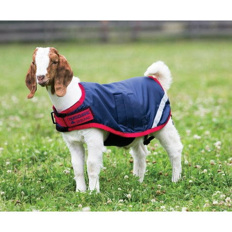 Goat & Calf Coats - The Carousel Horse